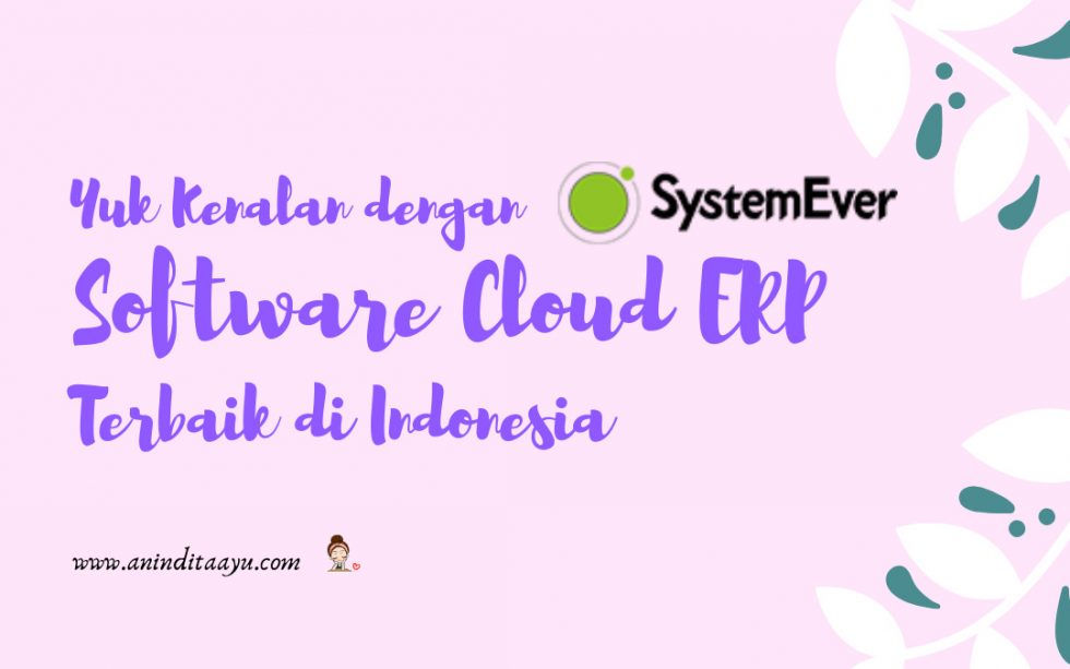 Software Cloud ERP Indonesia: SystemEver, Bantu Jalankan Bisnismu